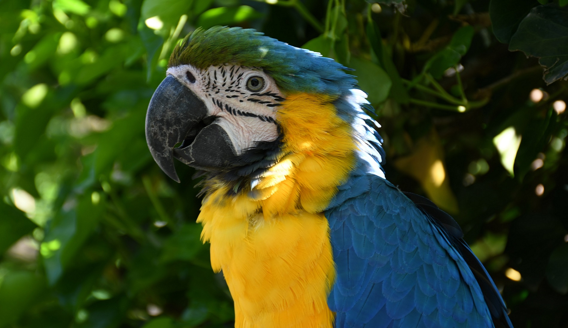 Fotogalerij » Unico Travel